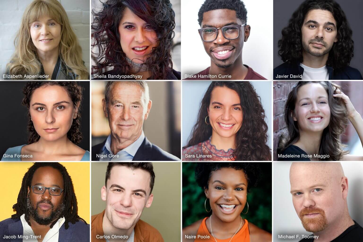 Shakespeare & Company Announces Cast of A Midsummer Night’s Dream ...